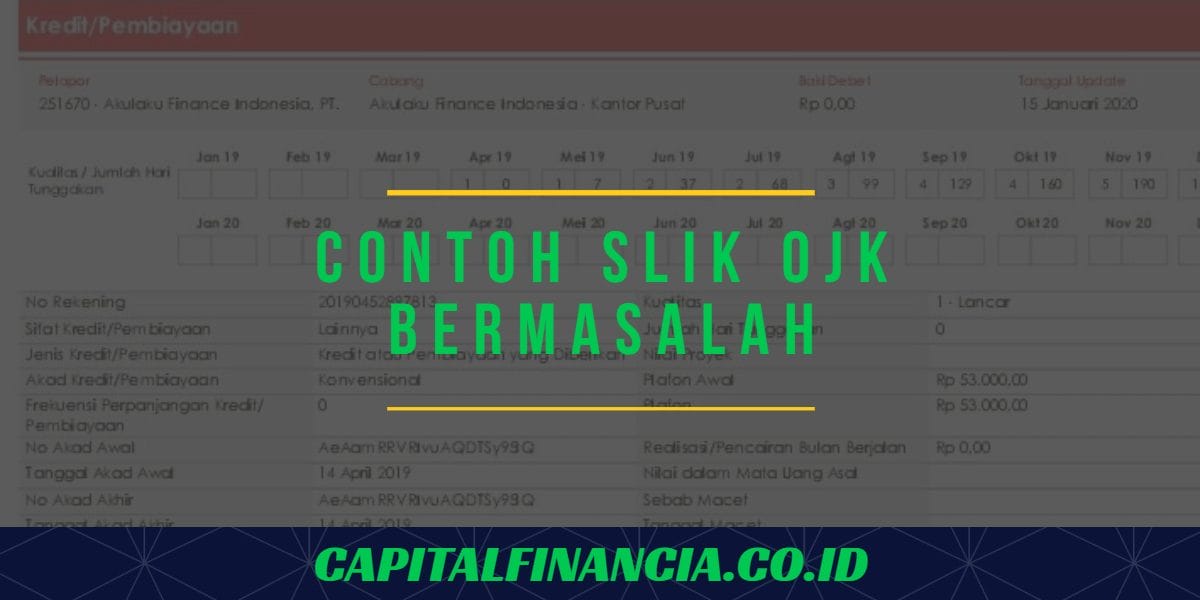 Waspada! Contoh SLIK OJK & BI Checking Bermasalah